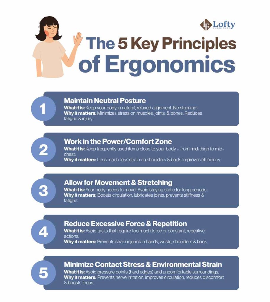 The 5 Key Principles of Ergonomics Everyone Should Know