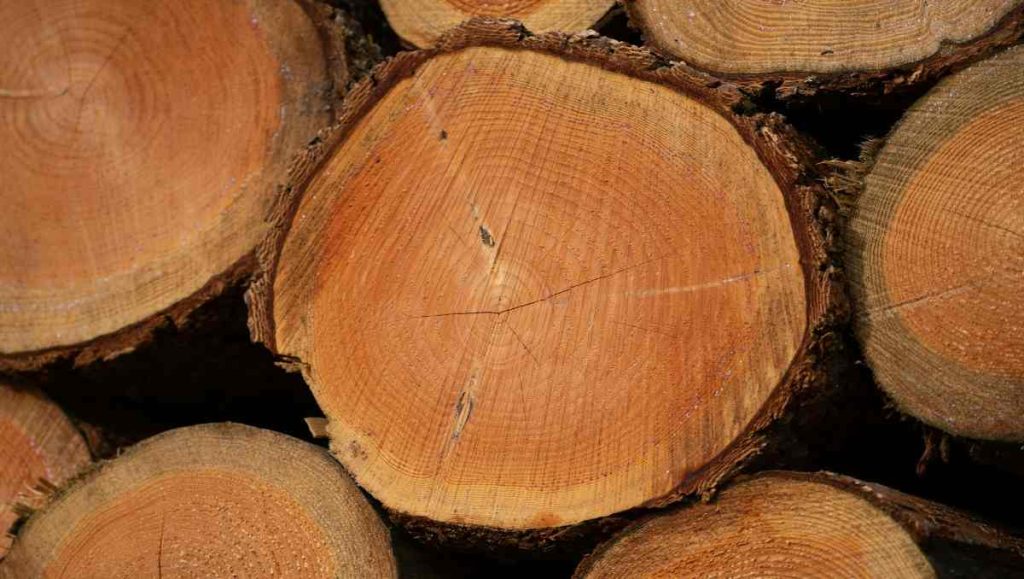 Janka Hardness Rating Chart for Hardwoods and What It Means for Your Desk